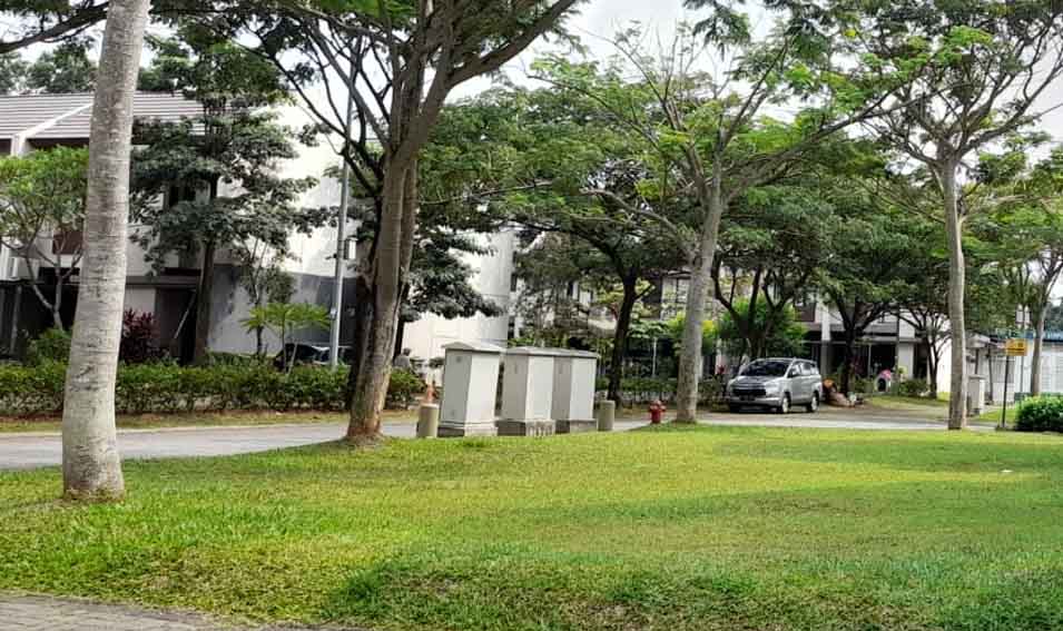 Kejanggalan Proyek Kandang Primata BRIN | tempo.co