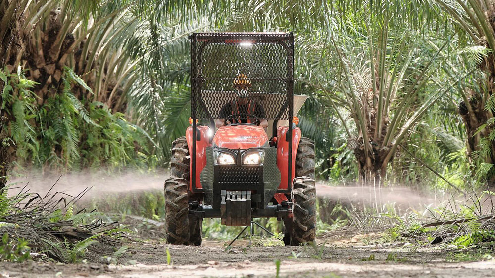 Bisnis Karbon Hutan Kalimantan Jadi Primadona Para Taipan | Pulitzer Center