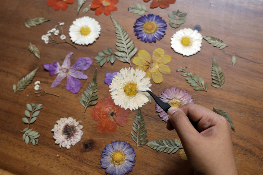 Cara Mudah Bikin Kerajinan Bunga Kering | tempo.co