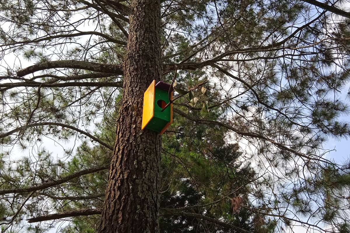 Ketika Desain Karya Seni di Selasar Sunaryo Bebas Ditiru | tempo.co