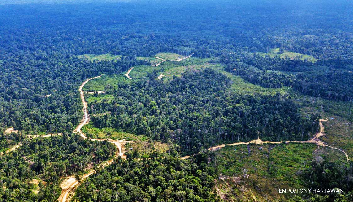 Perdagangan Karbon Sektor Lahan Sebentar Lagi | tempo.co