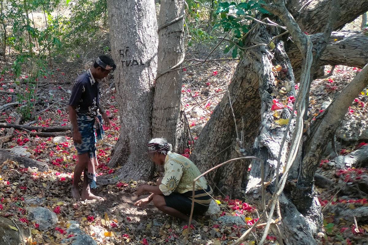 Terancamnya Ritual Marapu Tanah Sumba | tempo.co