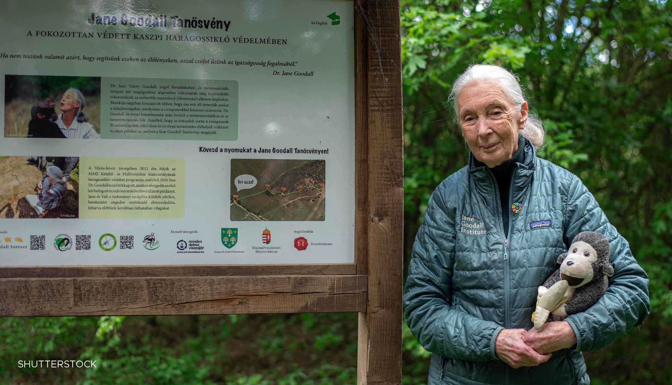 Jane Goodall dalam Kenangan Rahayu | tempo.co