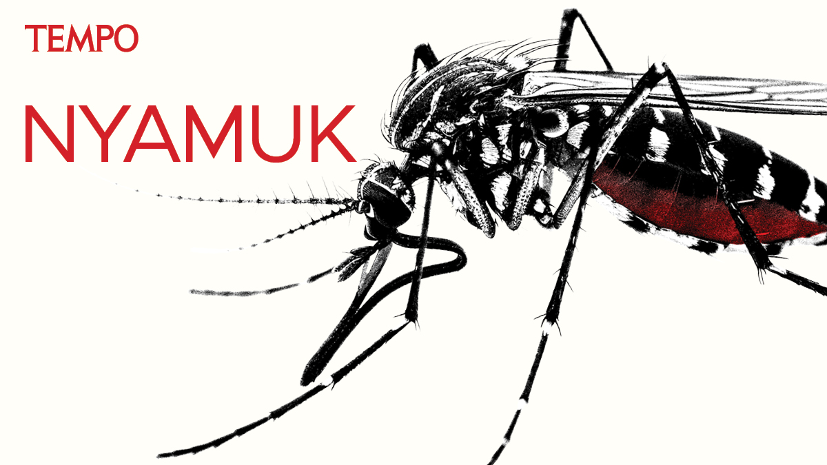 Jumlah Spesies Nyamuk Indonesia | tempo.co