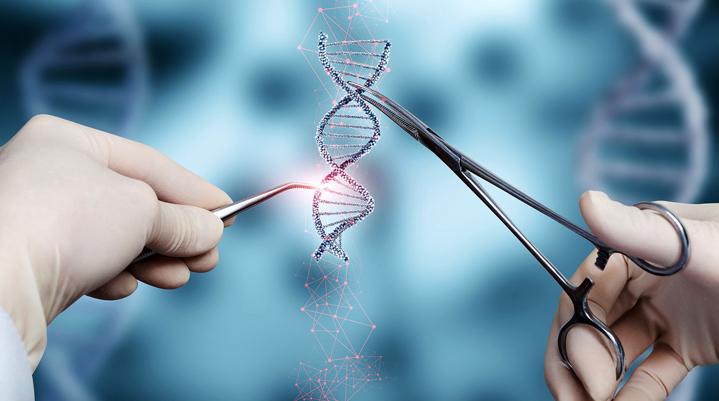 Bagaimana Rekayasa Genetika Memperbaiki Kualitas Pangan | tempo.co