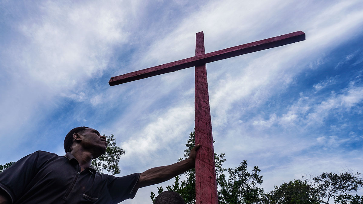 Perluasan Kebun Sawit Menginvasi Hutan Adat Boven Digoel | tempo.co