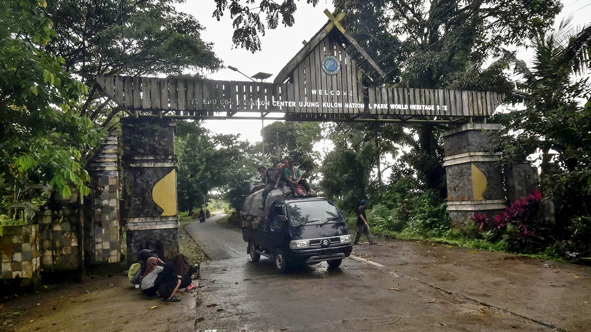 Mengapa Badak Jawa Mati Usai Translokasi | tempo.co